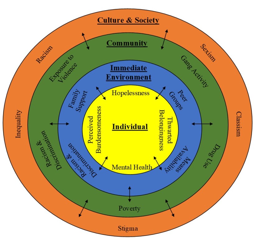 Suicide in Context: How Bioecological Theory Could Advance Theories of ...